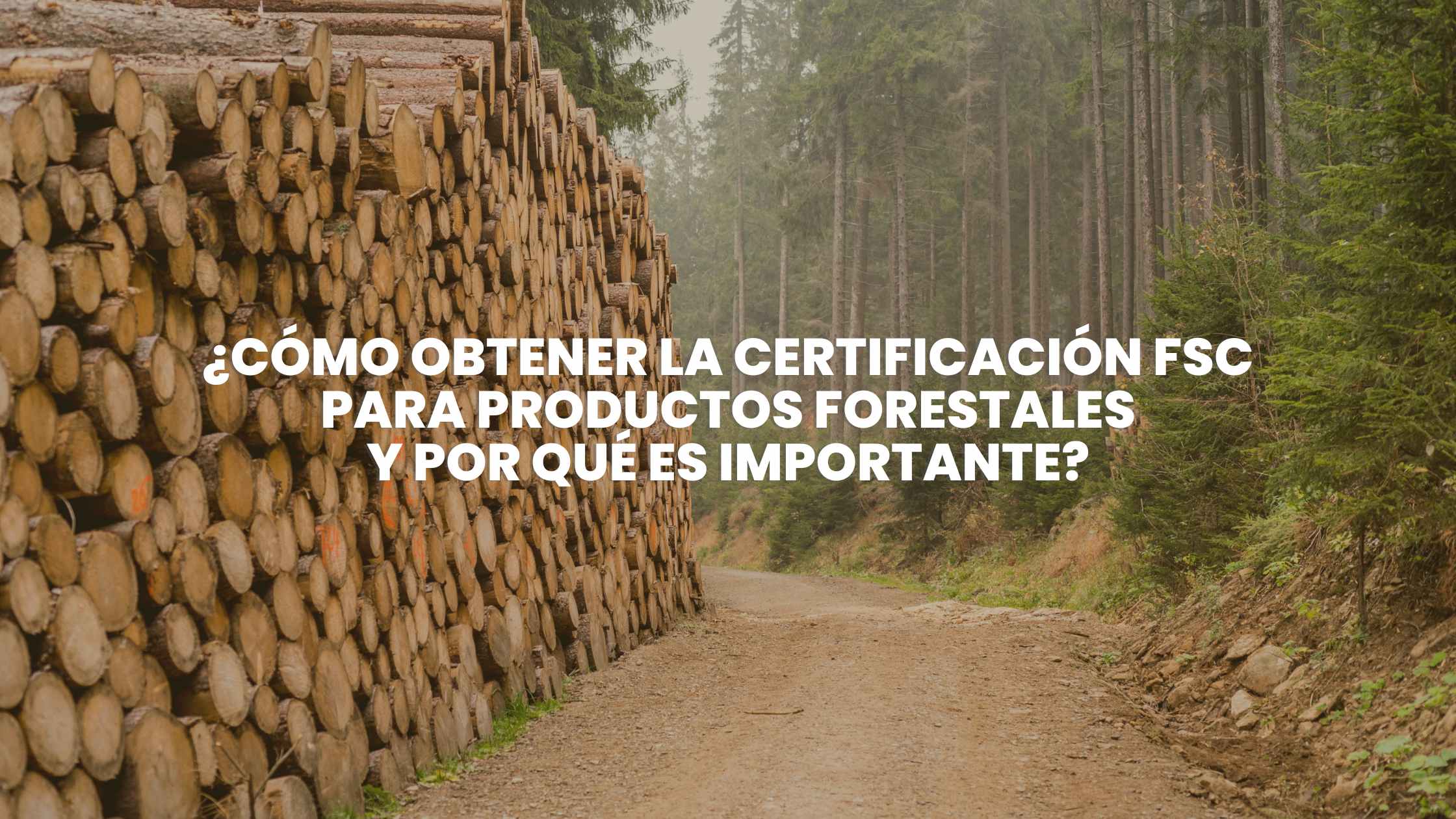 ¿Cómo obtener la certificación FSC para productos forestales y por qué ...