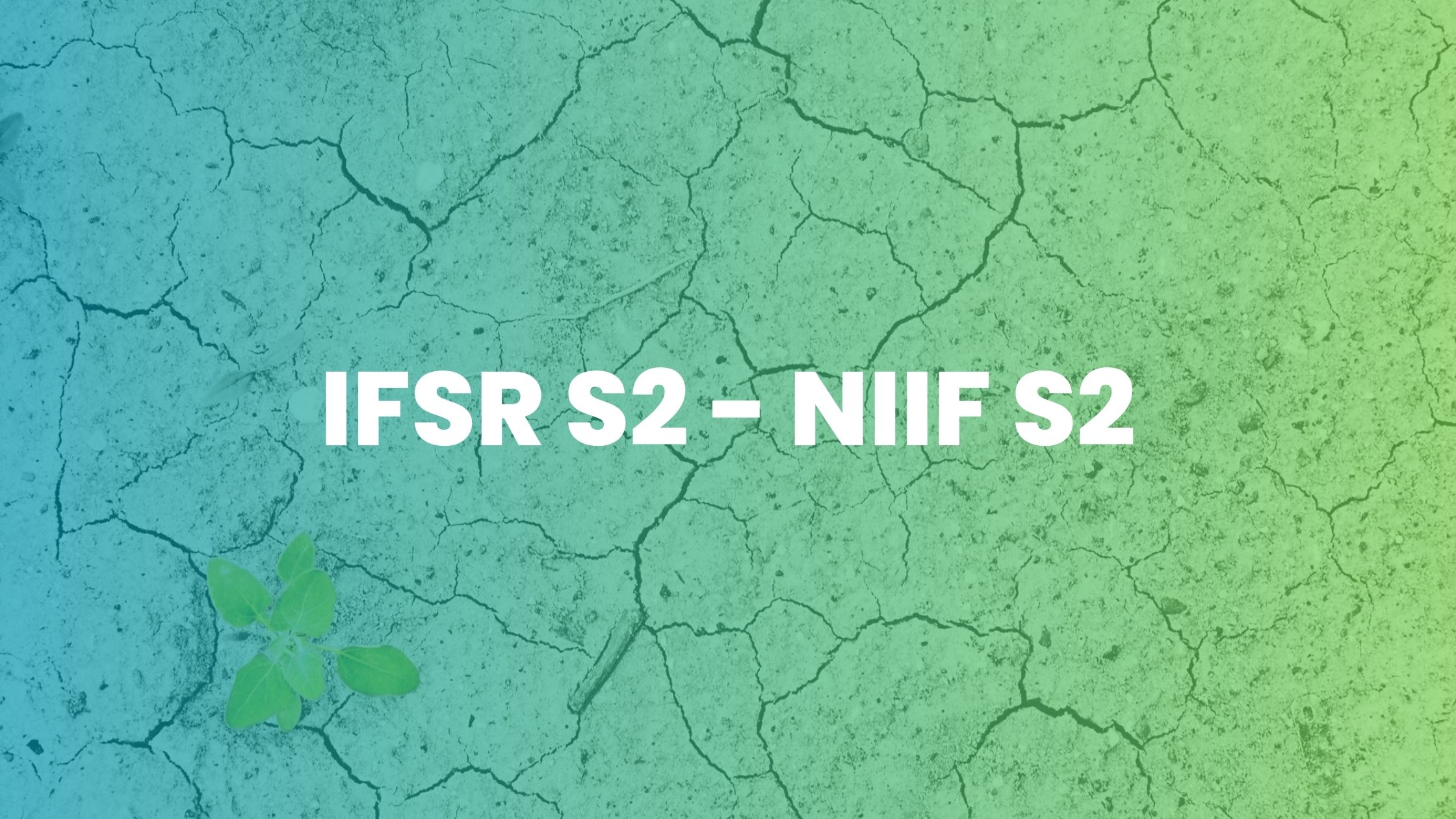 ¿Qué es la NIIF S2 (IFSR S2)? - CSR Consulting