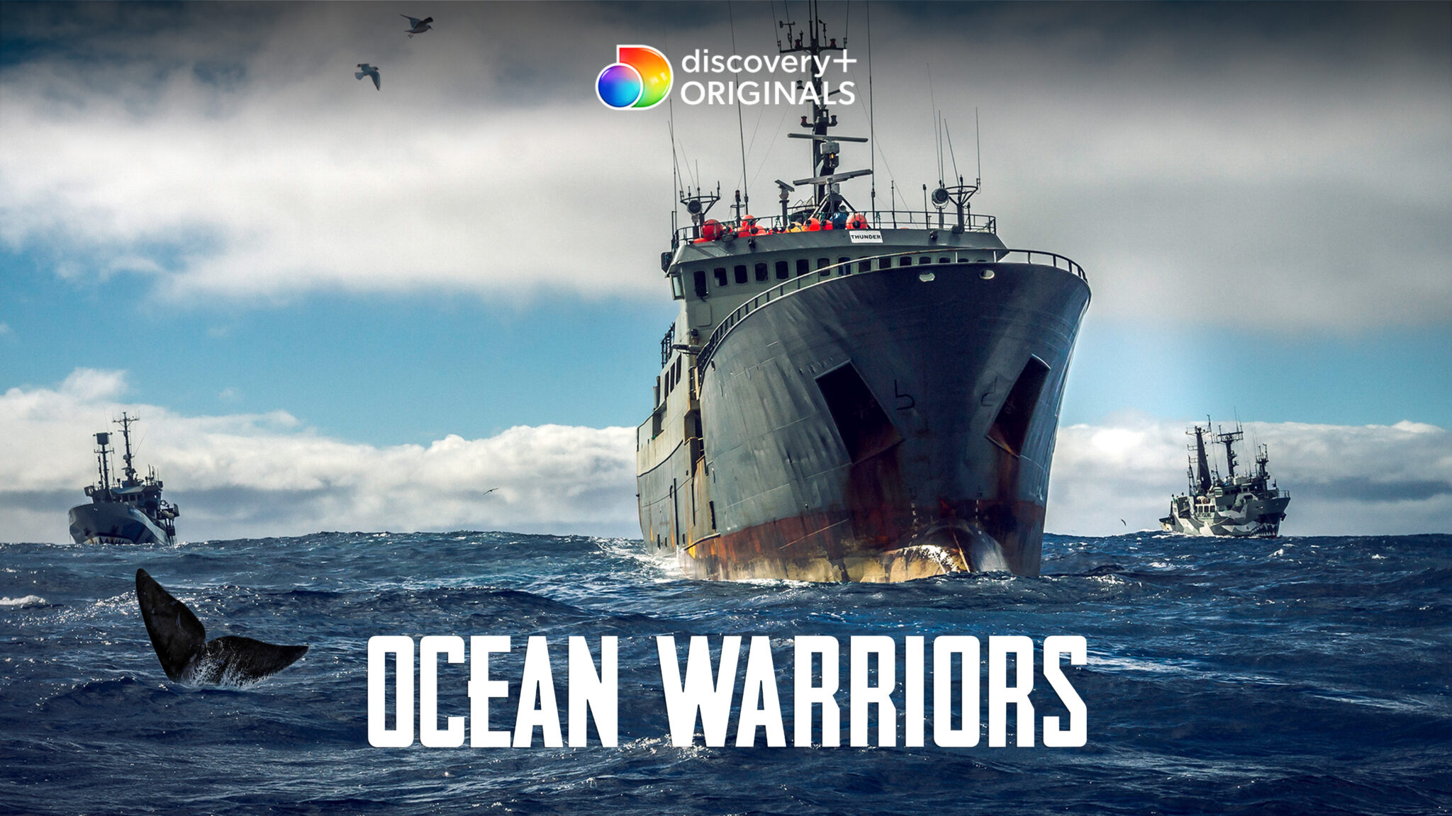 Mejores Documentales sobre Sostenibilidad - CSR Consulting