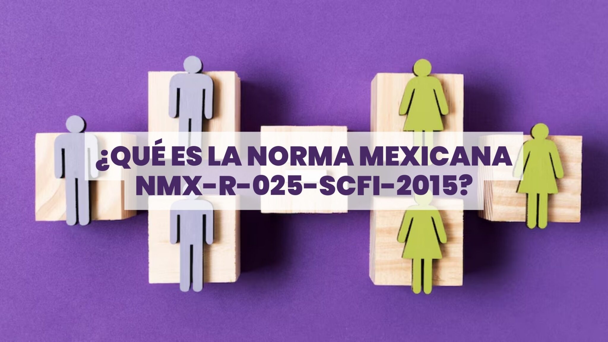 ¿Qué es la Norma Mexicana NMX-R-025-SCFI-2015? - CSR Consulting